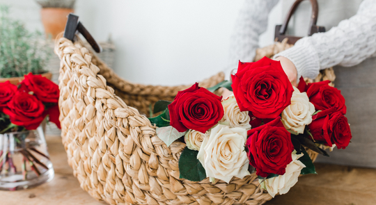 View Your Deal Today From ABC's The View - See Today's New Deals